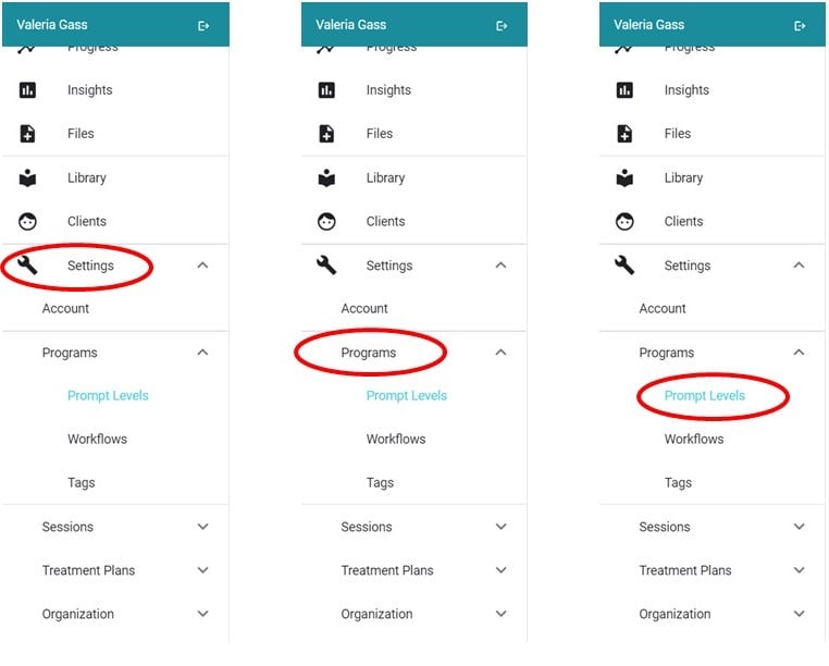 Customizing Prompt Levels